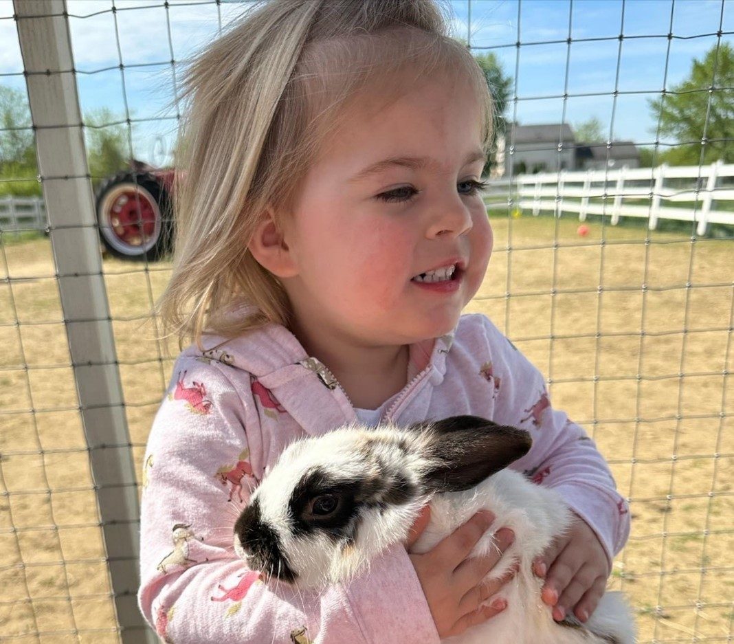 Hello Alpha Family, I'm Back! | Alpha Planning